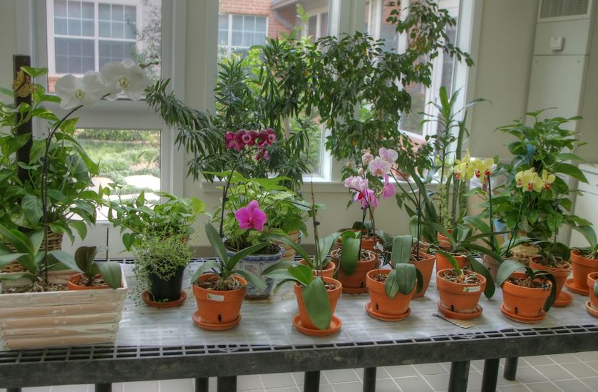 Holly Hall (UPDATED) - Get Pricing & See 7 Photos in Houston, TX