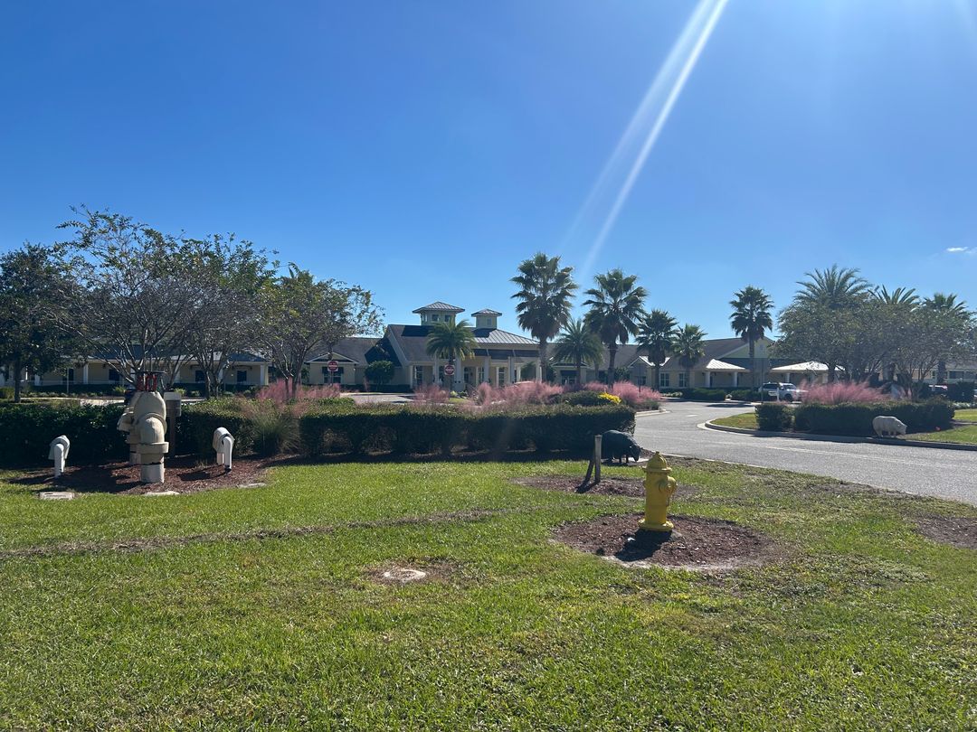 Addison of Oakleaf (UPDATED) - Get Pricing & See 16 Photos in ...