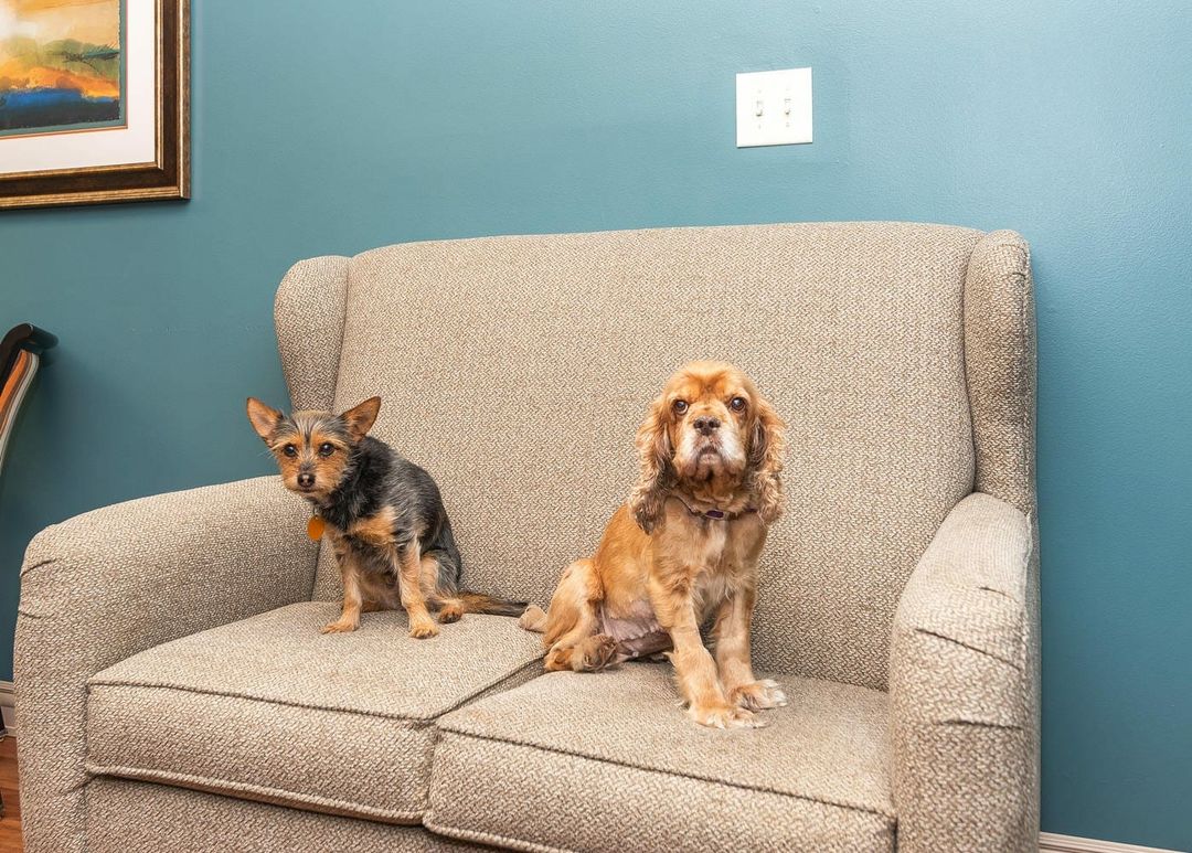 Bethany Village (UPDATED) - Get Pricing & See 16 Photos in Indianapolis, IN