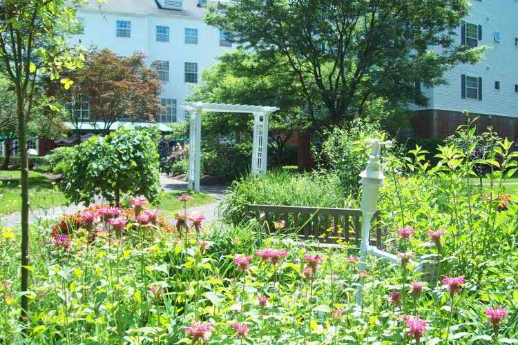 Arbors of Hop Brook (UPDATED) - Get Pricing & See 15 Photos in ...