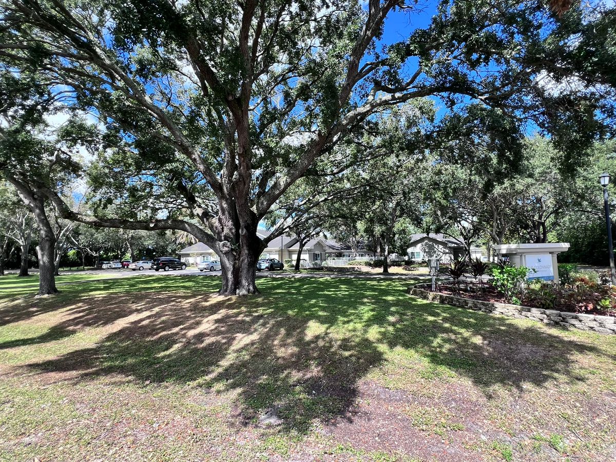 The Colonnade at Northdale (UPDATED) - Get Pricing & See 21 Photos in ...