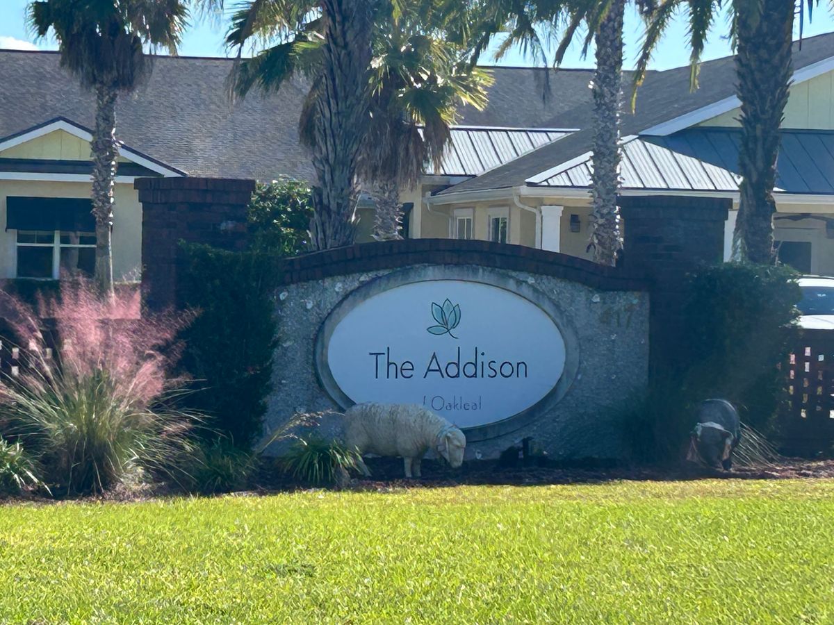 Addison of Oakleaf (UPDATED) - Get Pricing & See 16 Photos in ...