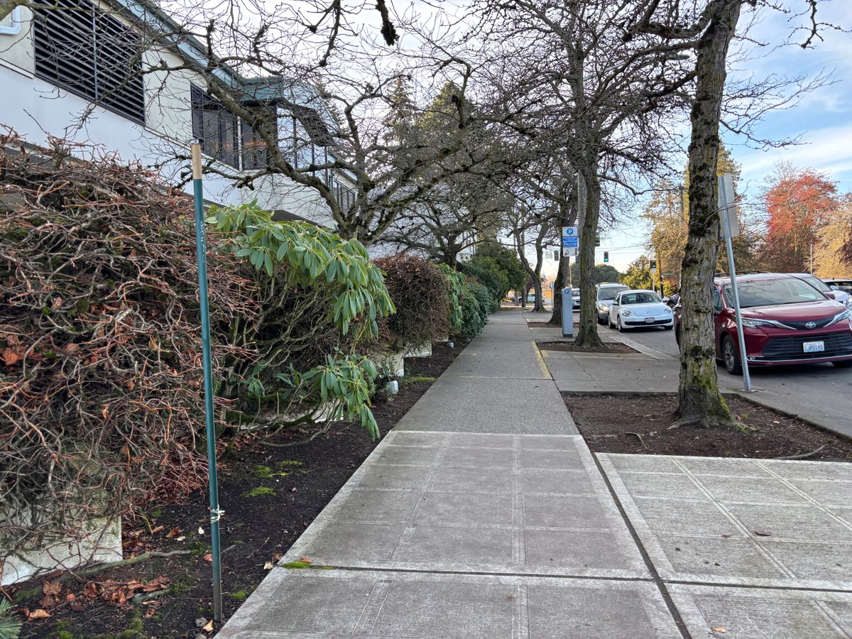 Hearthstone (UPDATED) - Get Pricing & See 10 Photos in Seattle, WA