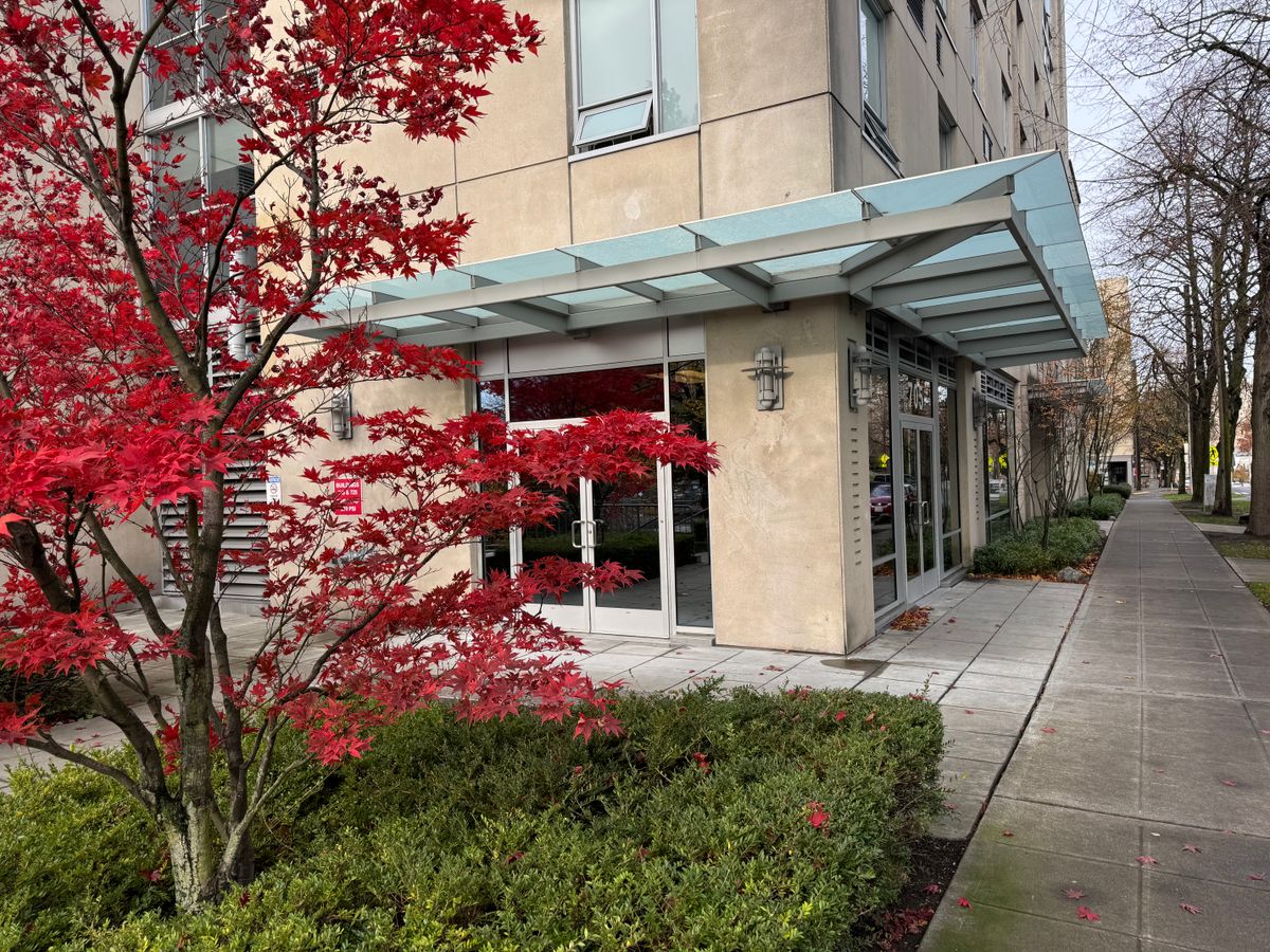Skyline Health Services (UPDATED) - Get Pricing & See 12 Photos in ...