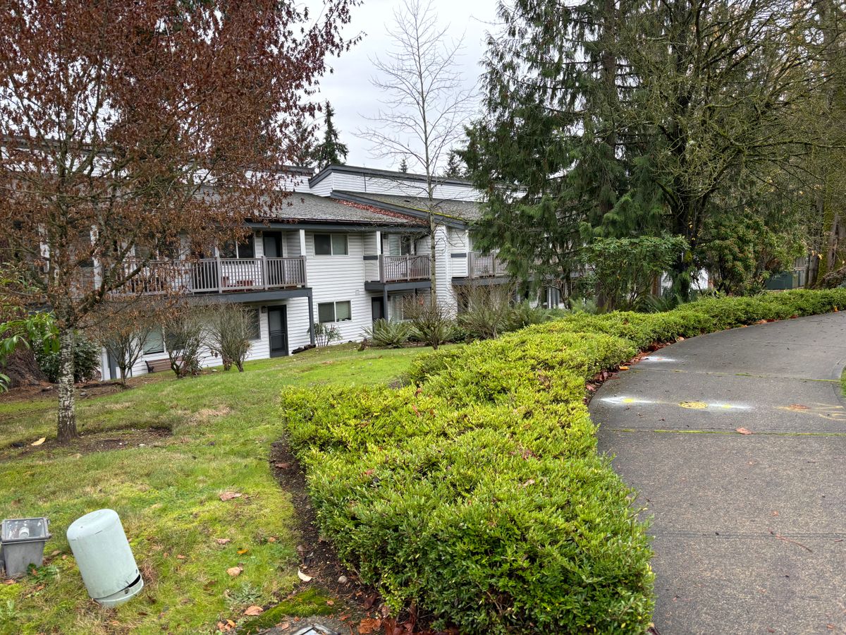 Evergreen Court - Get Pricing & See 11 Photos in Bellevue, WA