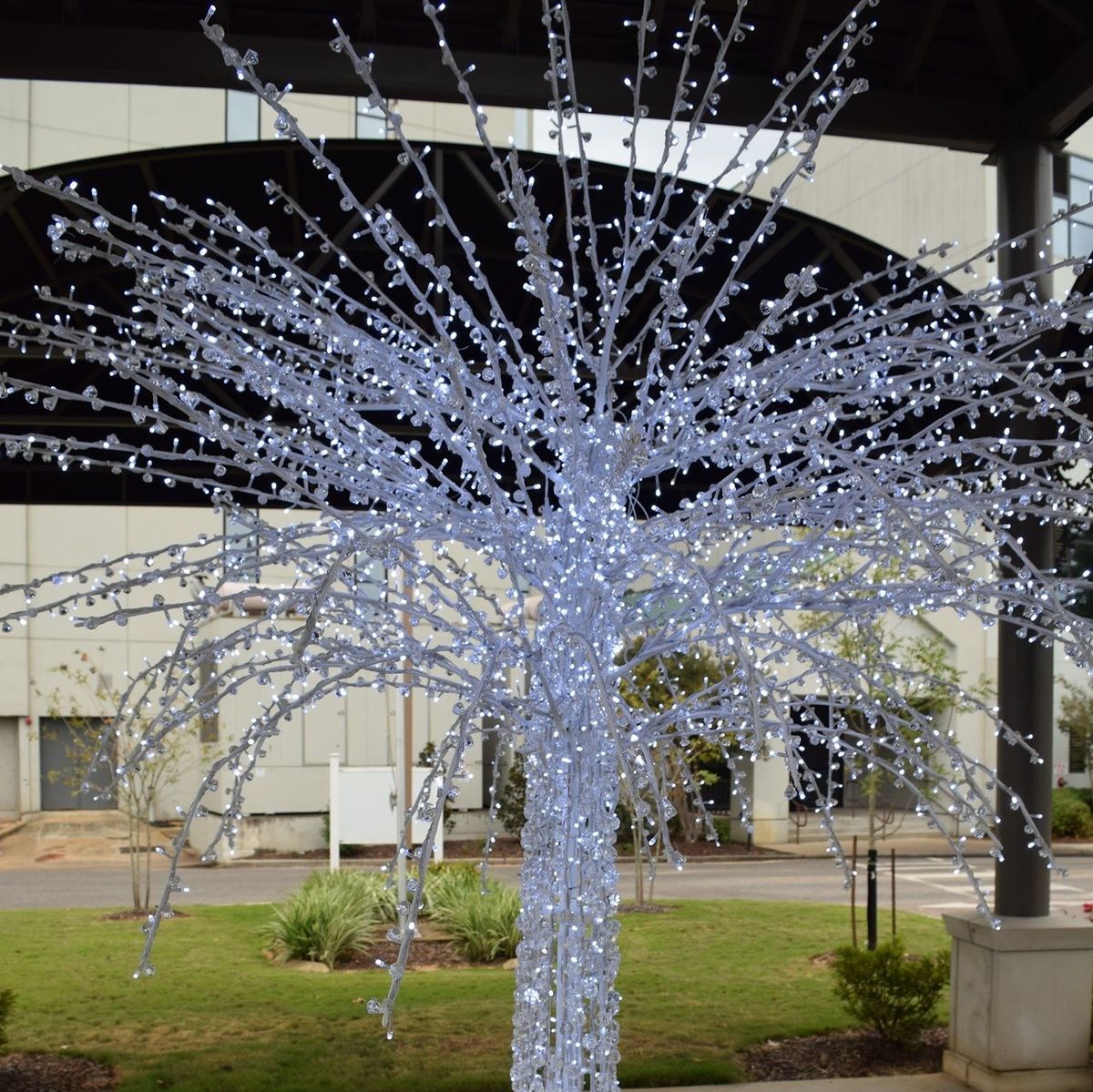 Springhill Senior Residence (UPDATED) - Get Pricing, See 9 Photos ...