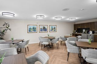 Paradise Springs - Sky Active Living (UPDATED) - Get Pricing, See 71 ...