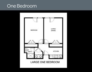 Holiday Chateau Ridgeland (UPDATED) - Get Pricing, See 13 Photos & See ...