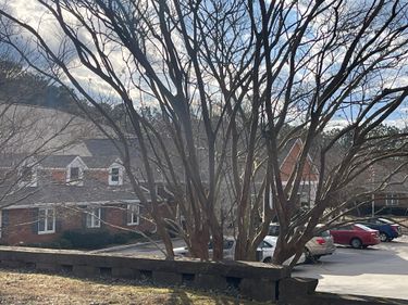 Chapters Living of Canton (UPDATED) - Get Pricing, See 17 Photos & See Floor Plans in Canton, GA