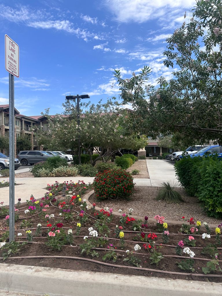 The Enclave at Gilbert Senior Living (UPDATED) - Get Pricing, See 6 ...