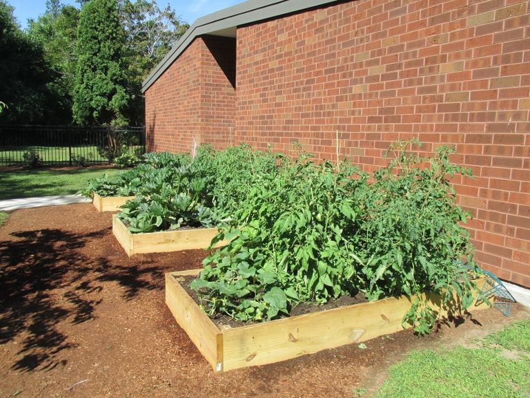 Bayberry Commons (UPDATED) - Get Pricing, See 8 Photos & Read Reviews ...